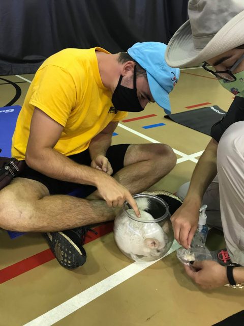 Les Stoukises - Été - Service des loisirs Angus-Bourbonnière